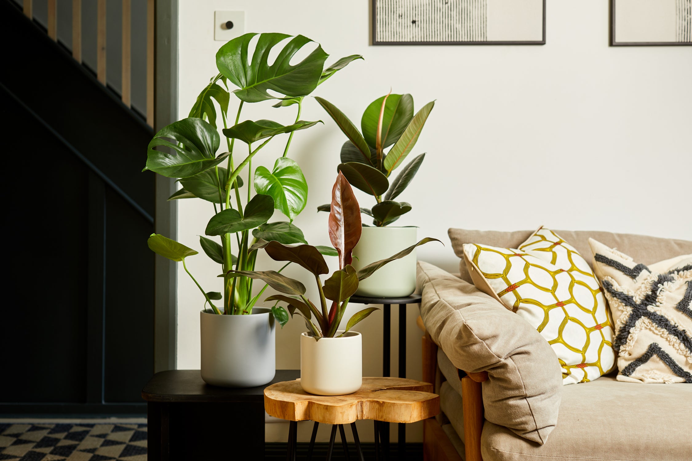 Collections – The Horti House